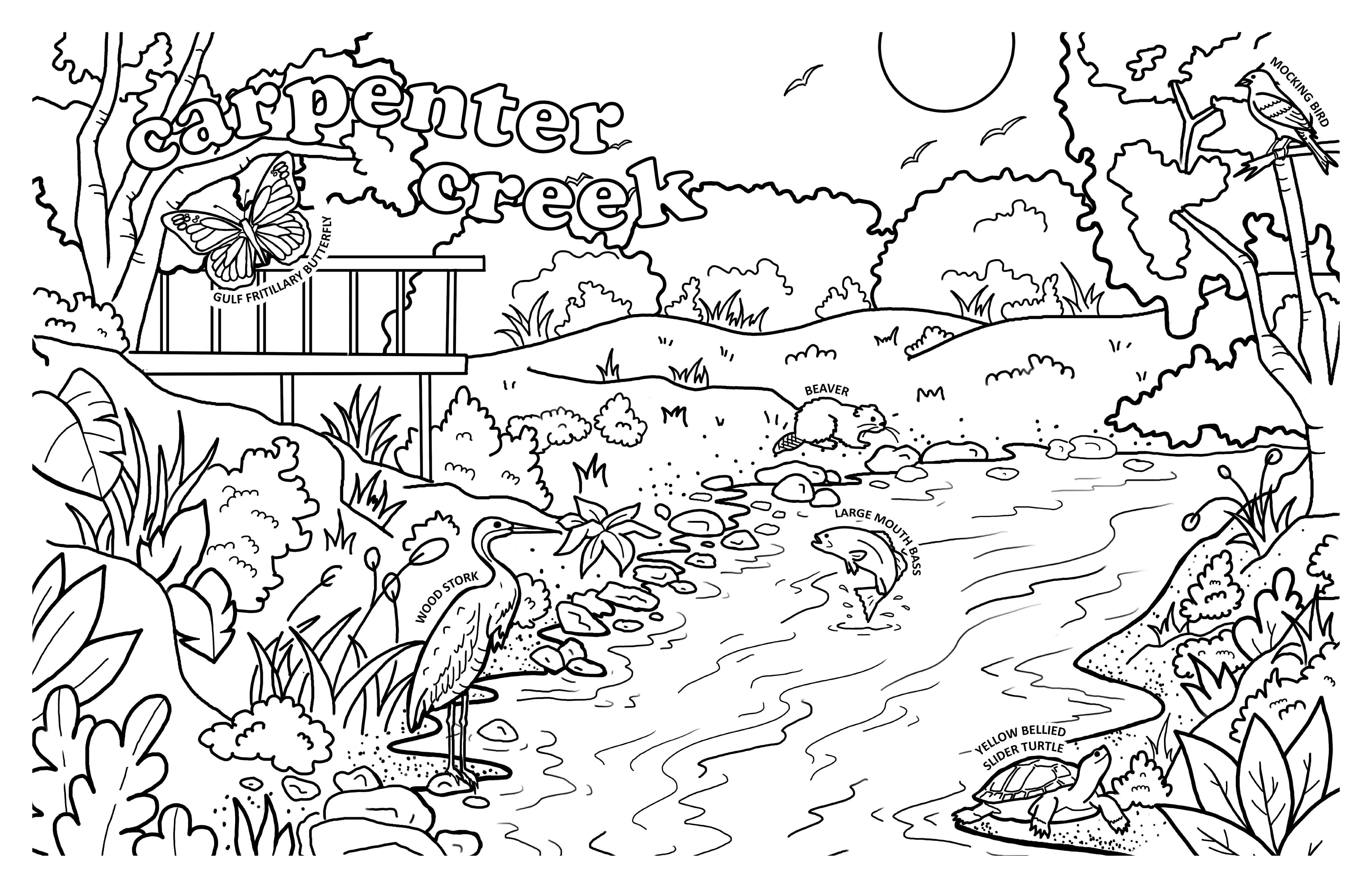 Pensacola & Perdido Bays Estuary Program